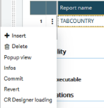 Modifying the report